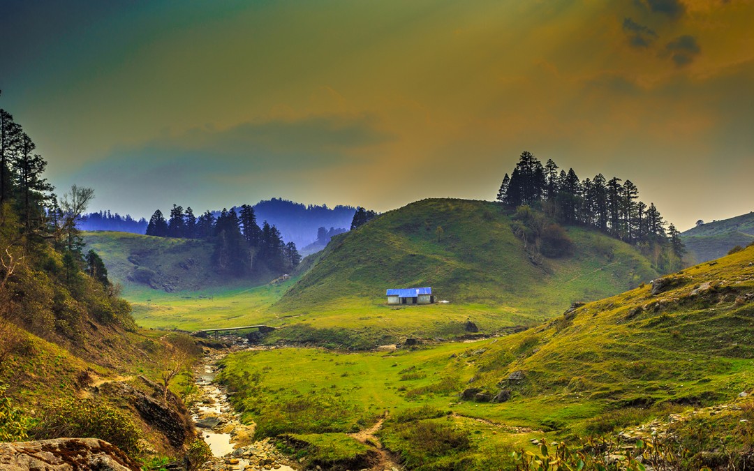 Khaptad National Park | Jungle Safari | Adventure Holiday